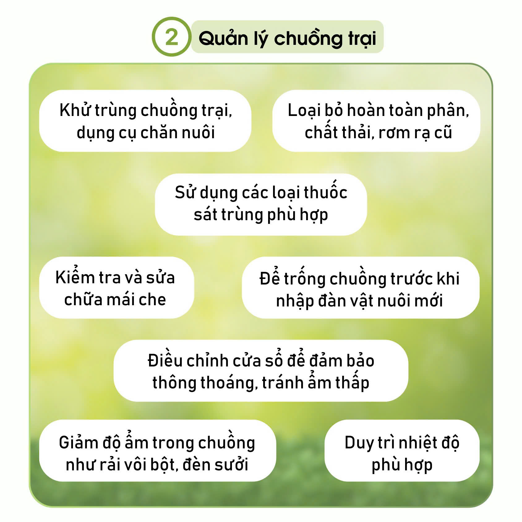 7 Lưu ý khi nhập đàn gia cầm trong mùa mưa - Thuốc thú y ALL WAYS